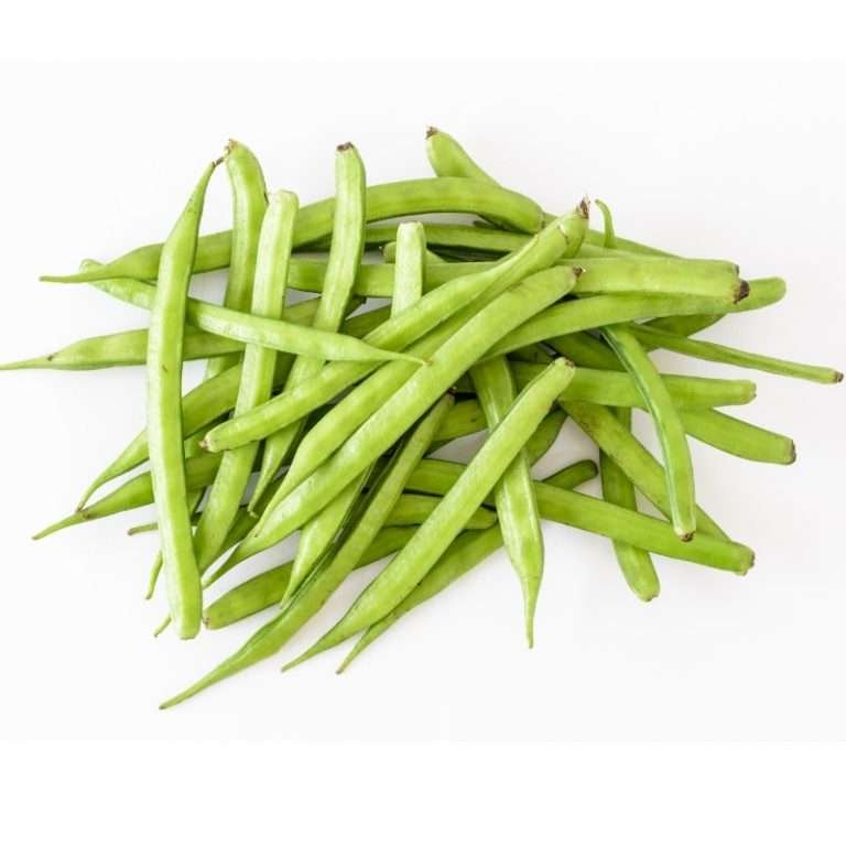 All You Need To Know About INS 412 | Everything Better