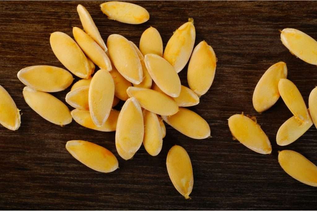 8 Proven Health Benefits of Muskmelon Seeds You Should Know
